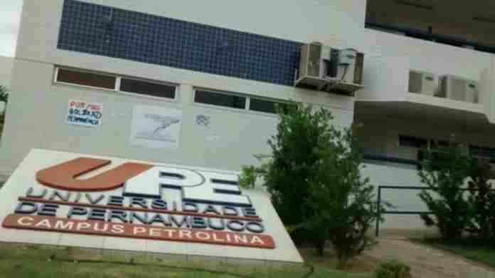 UPE abre concurso com três vagas para médico; veja como se inscrever ...