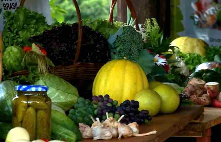 Feira de produtos orgânicos será inaugurada em Petrolina – Blog Nossa Voz