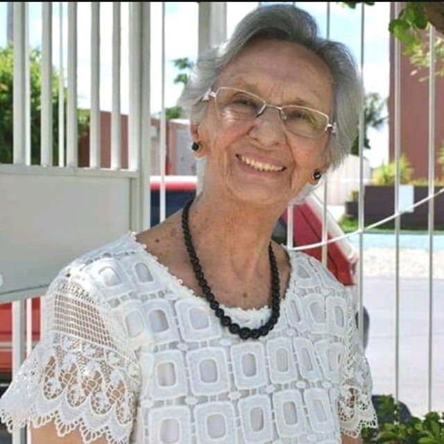 Na passagem dos seus 89 anos, Inah Torres é homenageada pela Grande Rio ...