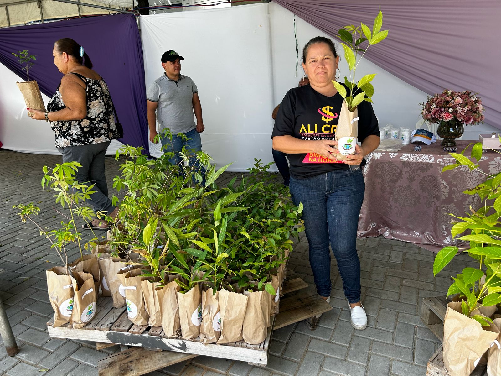 Mais amor por elas: Prefeitura de Juazeiro distribui cerca de 300 mudas ...